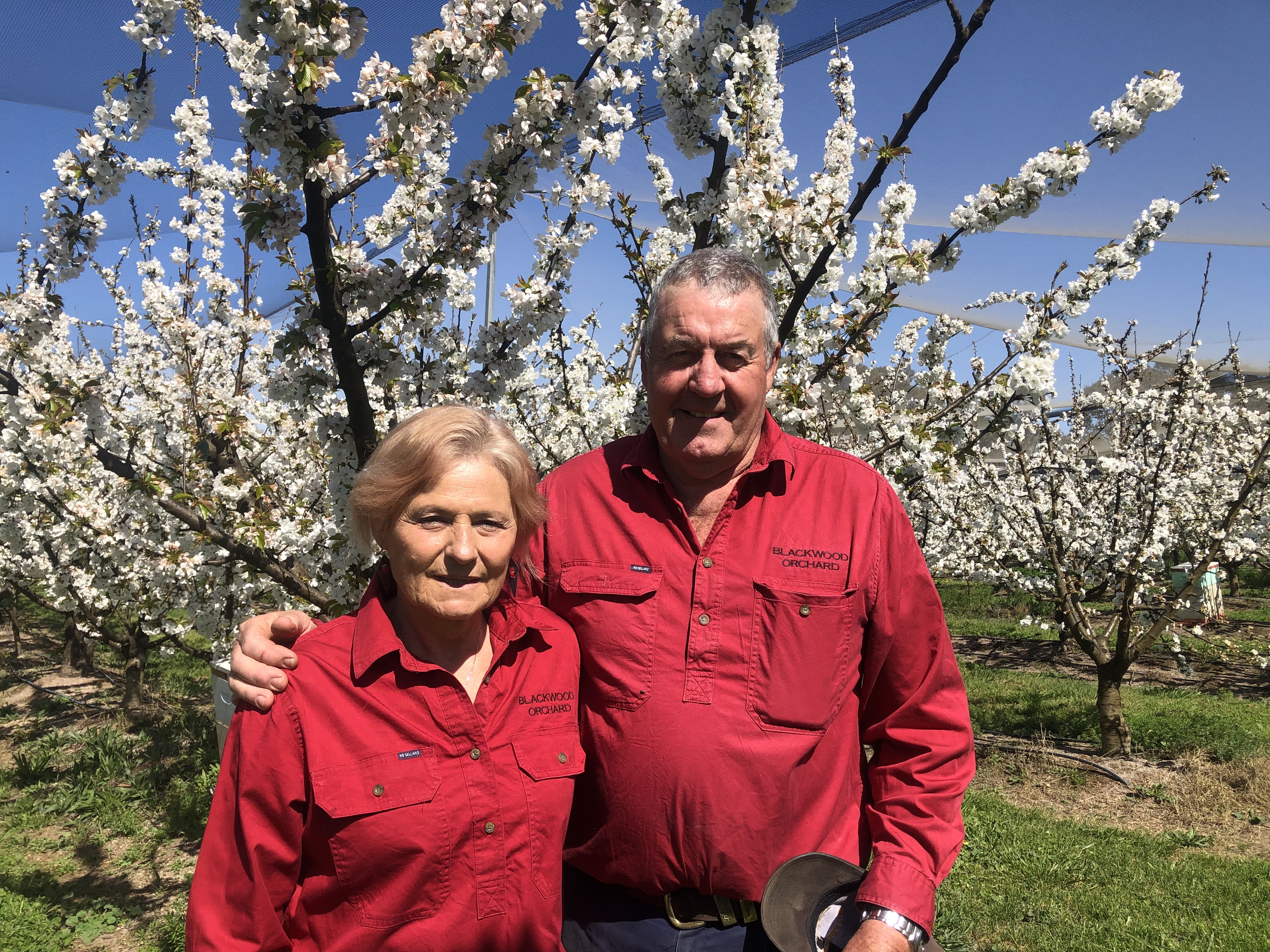 Local grower bio - Blackwood Orchard | Healthy Loddon Campaspe